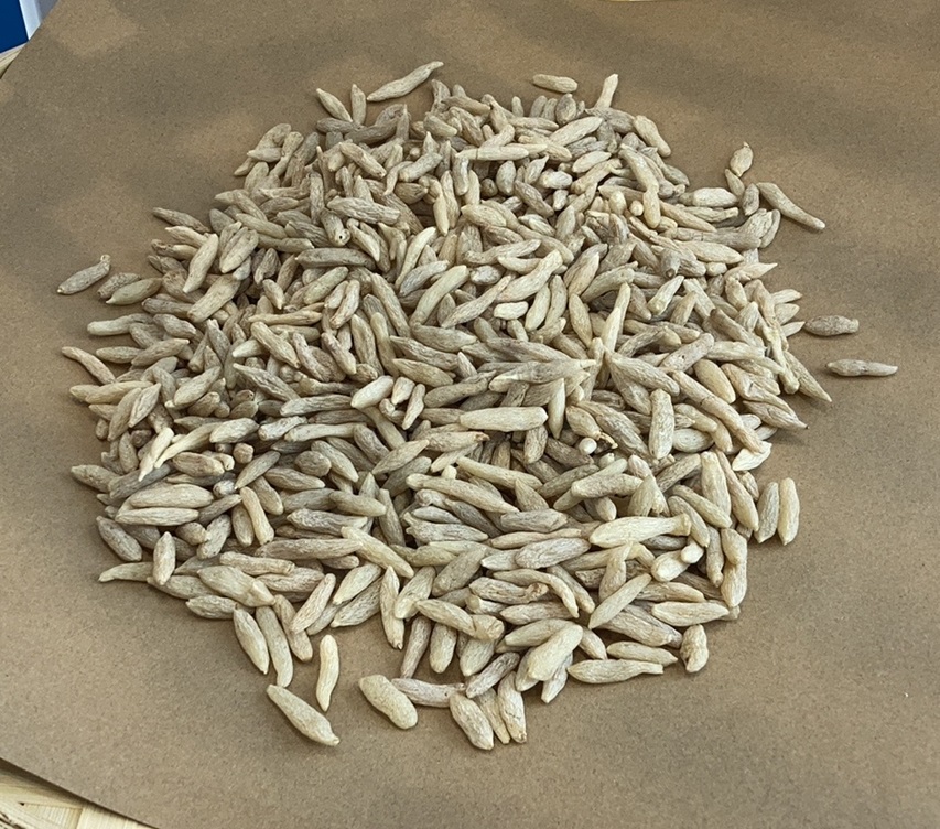 Bulk Cargo - Ophiopogonis Radix - DOTIAN NATURAL MART